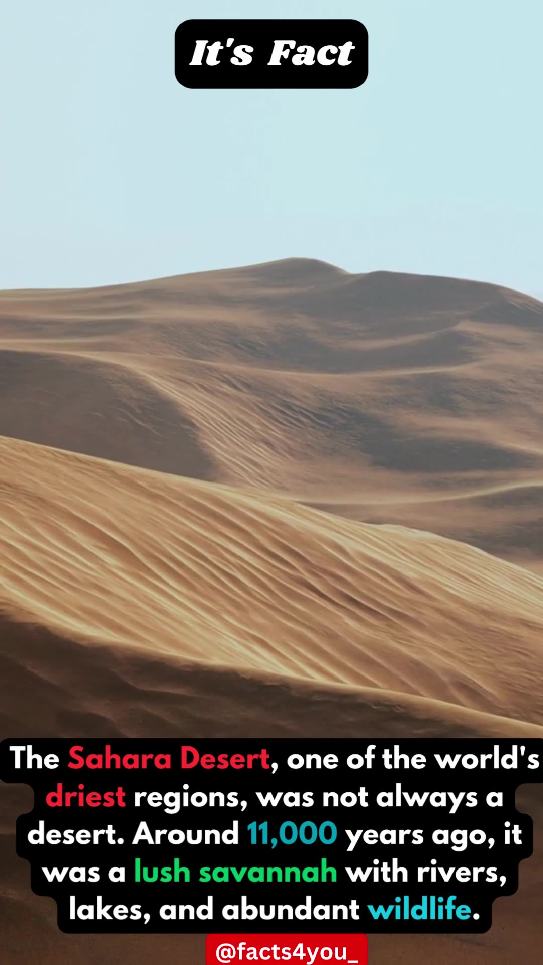 Facts About Sahara Desert | Sahara Desert Facts About Sahara Desert | Sahara Desert