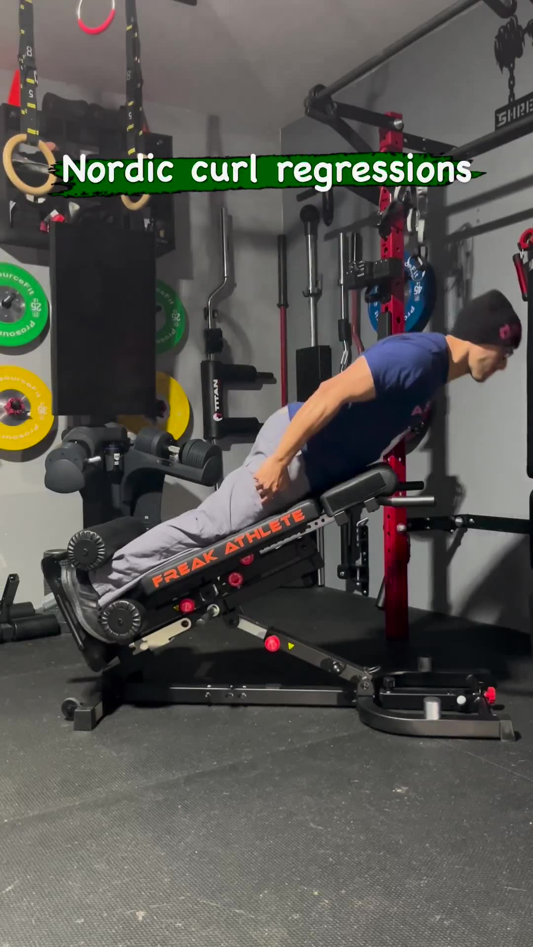 Freak Athlete Nordic Hyper GHD: Nordic Curl Bench Regressions