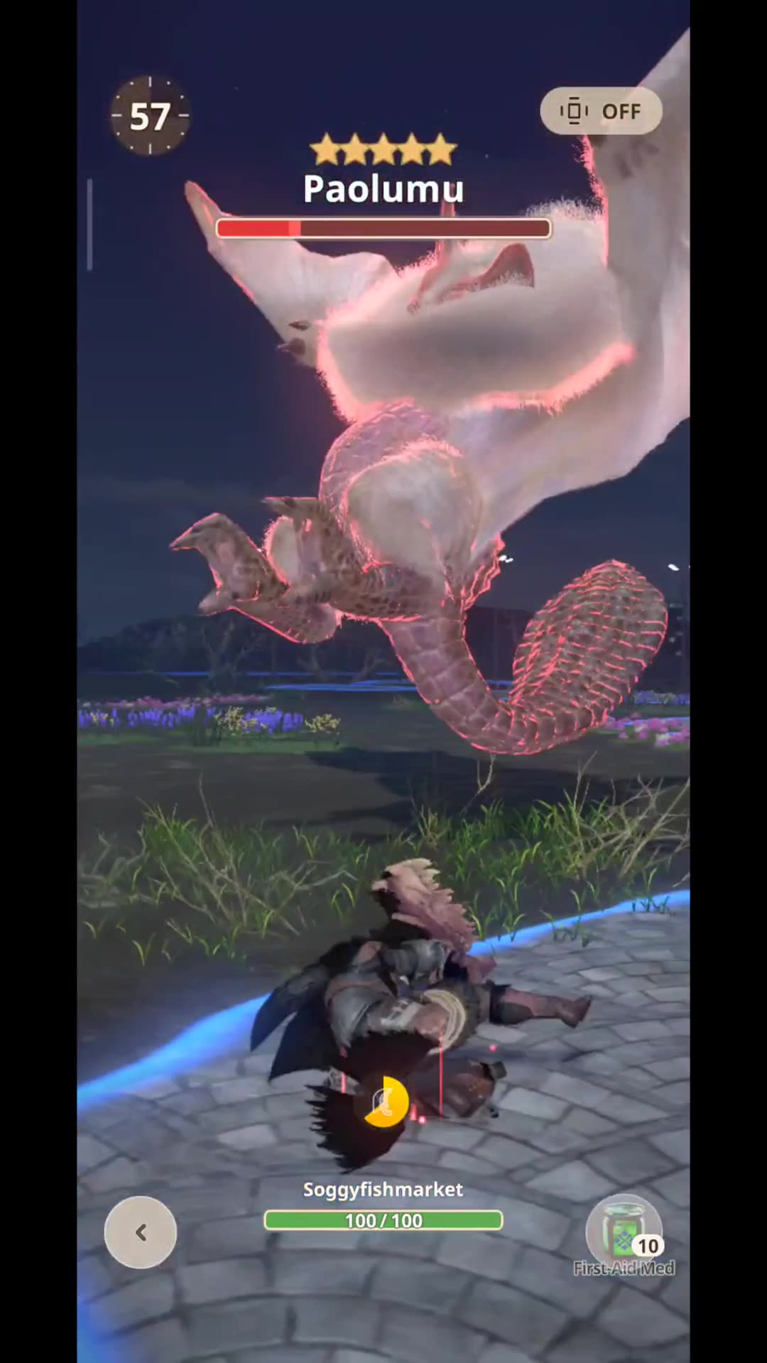 Monster Hunter Now-5 Star Paolumu