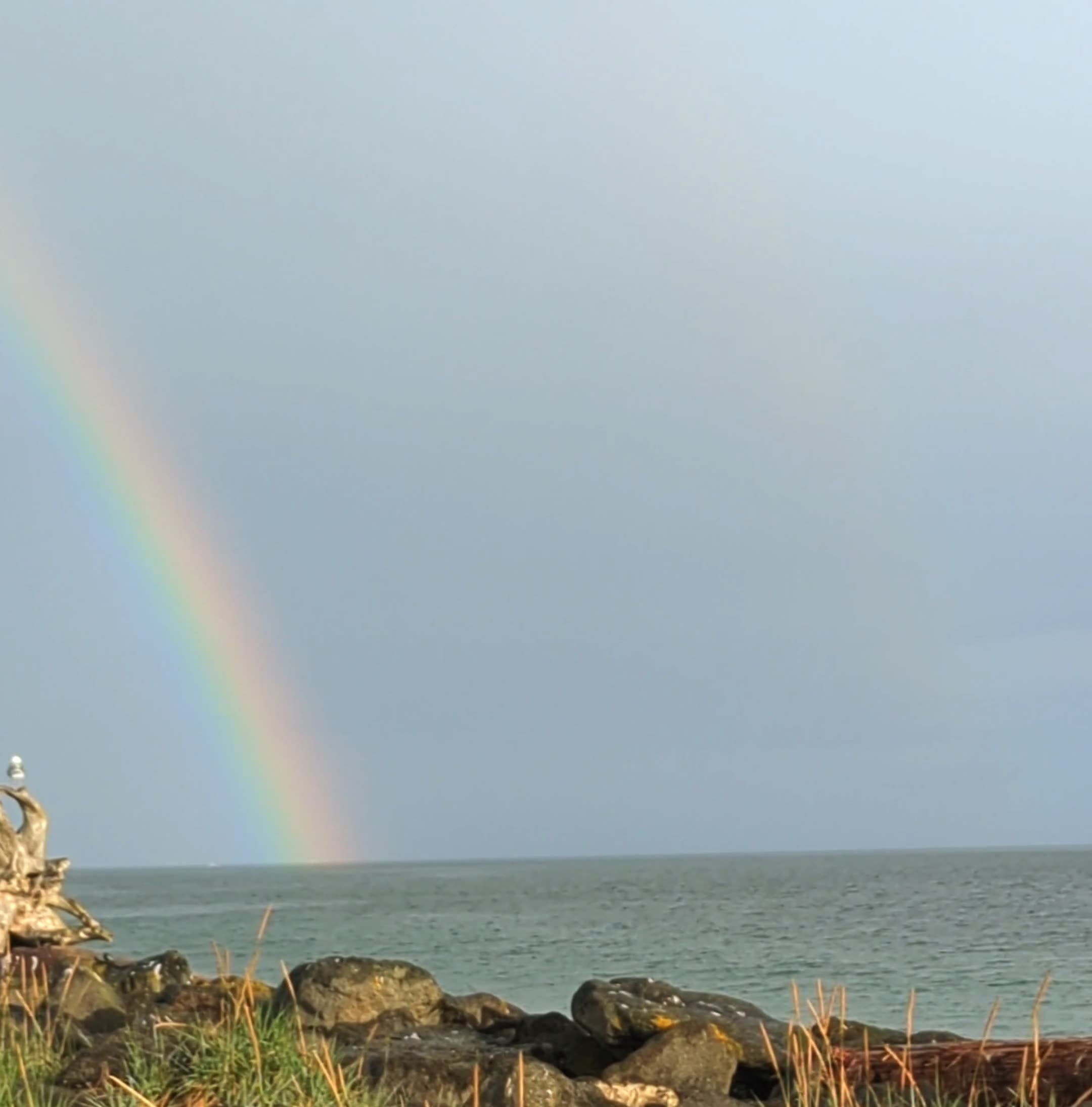 Straight up Rainbow