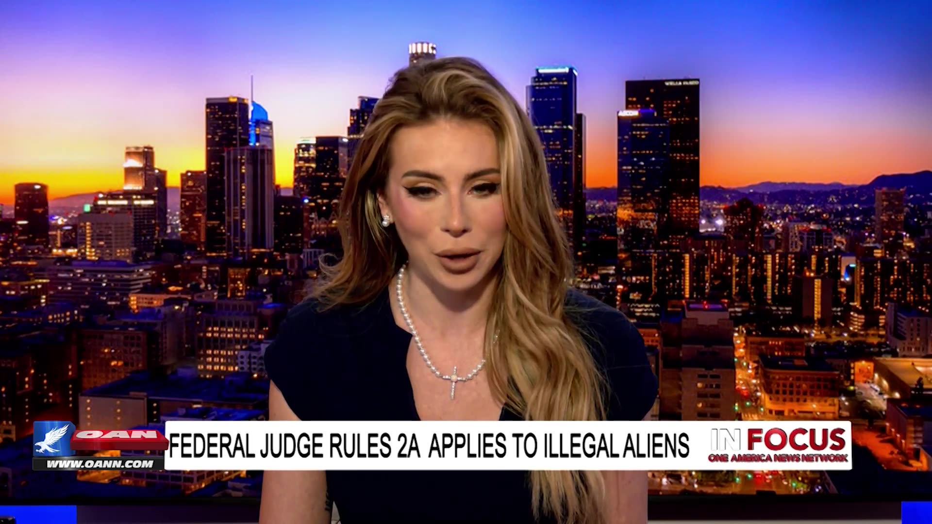 IN FOCUS: Federal Judge Rules 2A Applies to Illegal Aliens with Dan ...