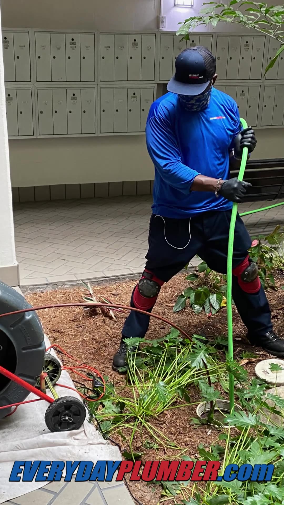 Are your drain giving you trouble?
